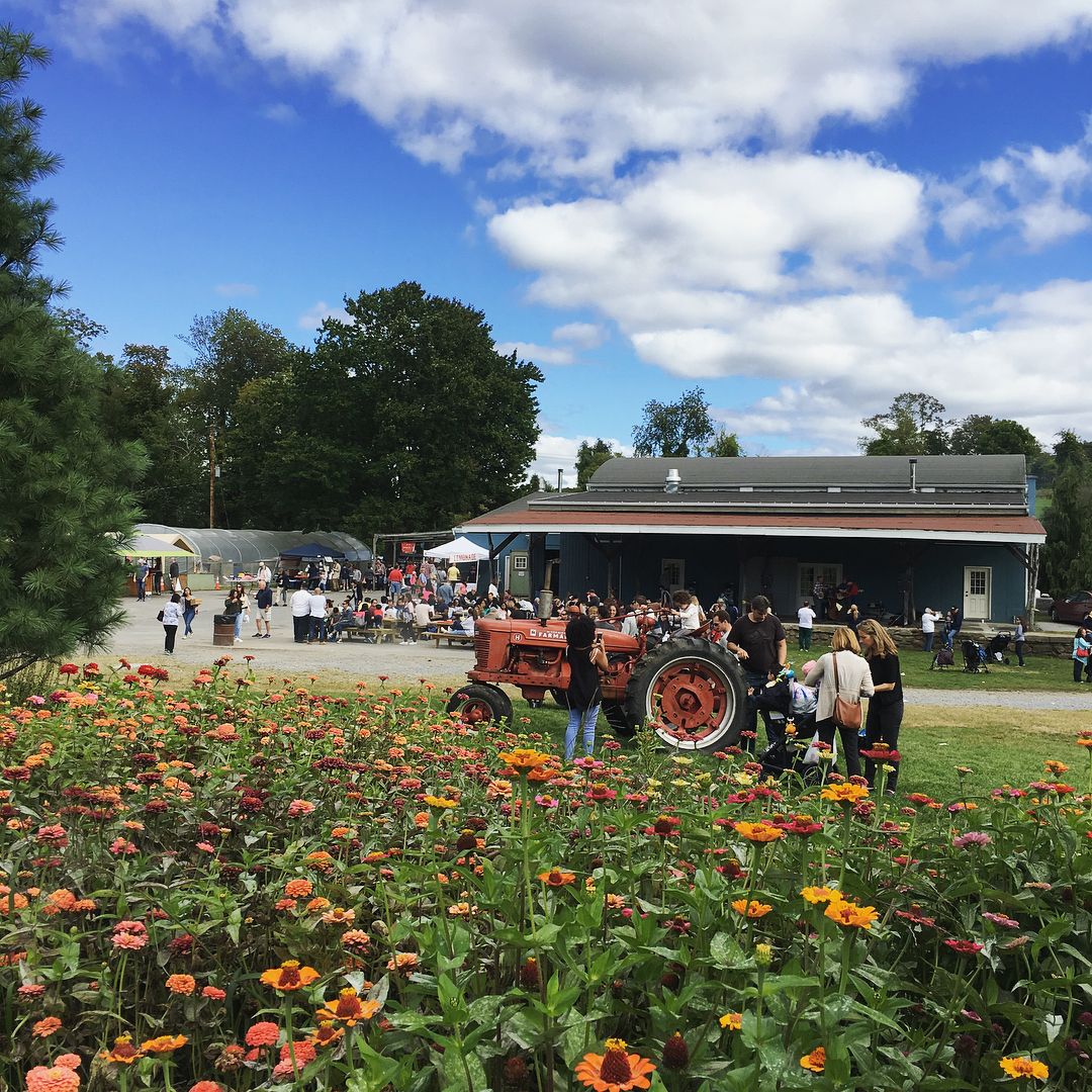 Harvest Moon Farm – Emerald's Farm